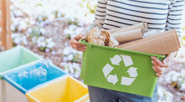 El papel y el medio ambiente en Perú - Flink